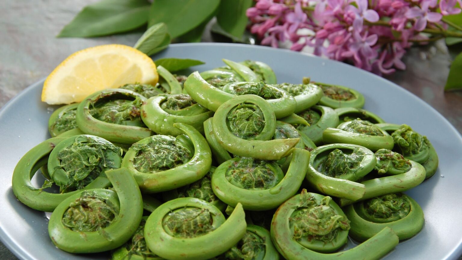 Health Benefits of Fiddlehead Ferns (+ How To Safely Consume It)
